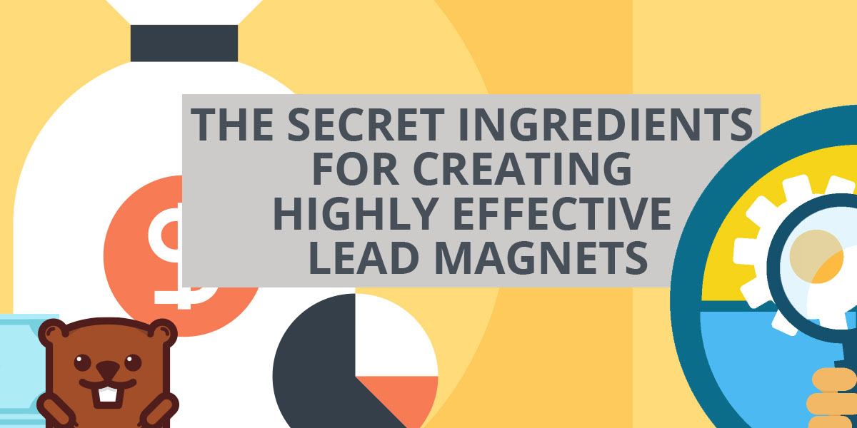 The Secret Ingredients For Creating Highly Effective Lead Magnets ...